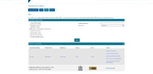 Domestic Wire User Guide — Fidelity Bank